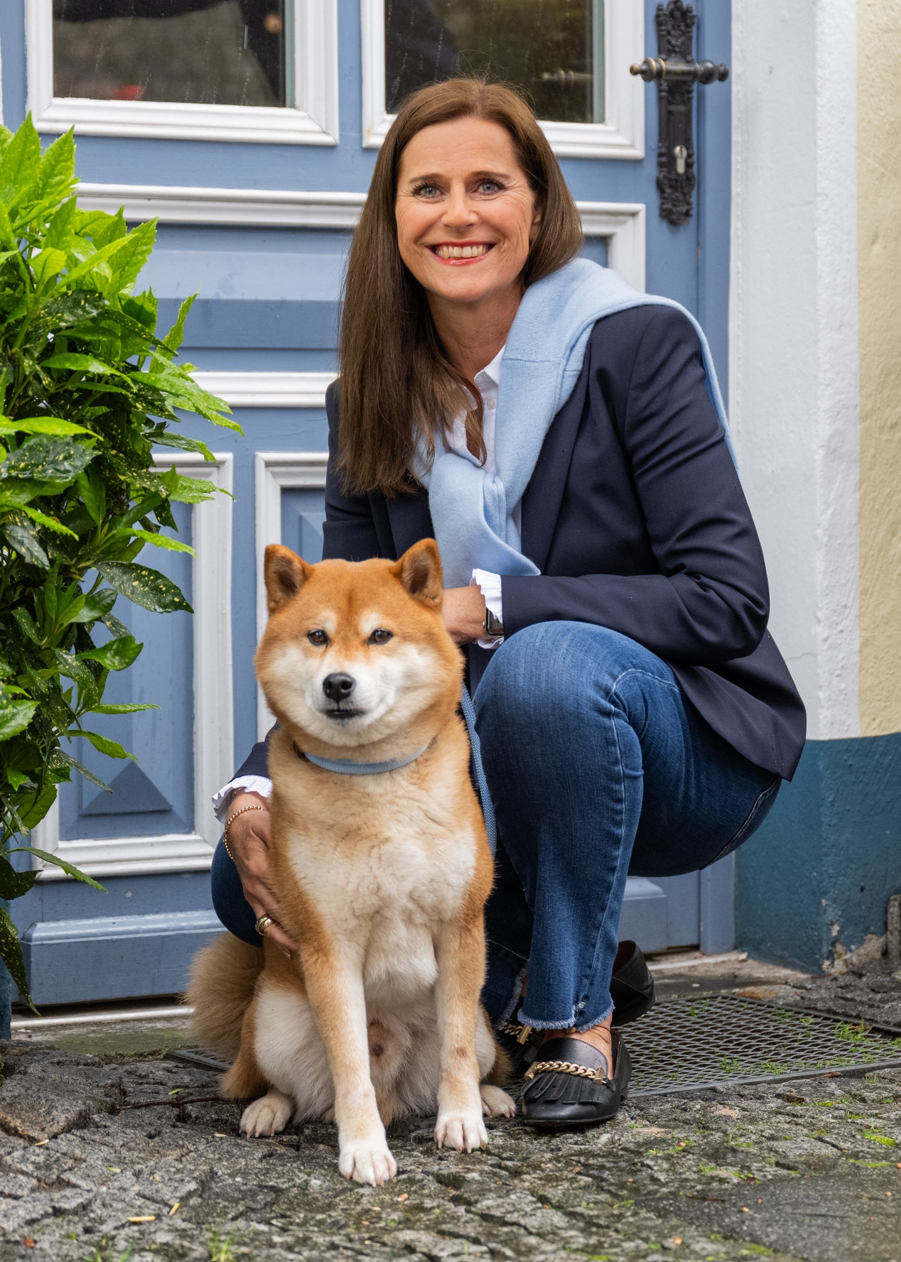 Ihr Spezialist für Baugrund, Altlasten und Umwelt - Geomole